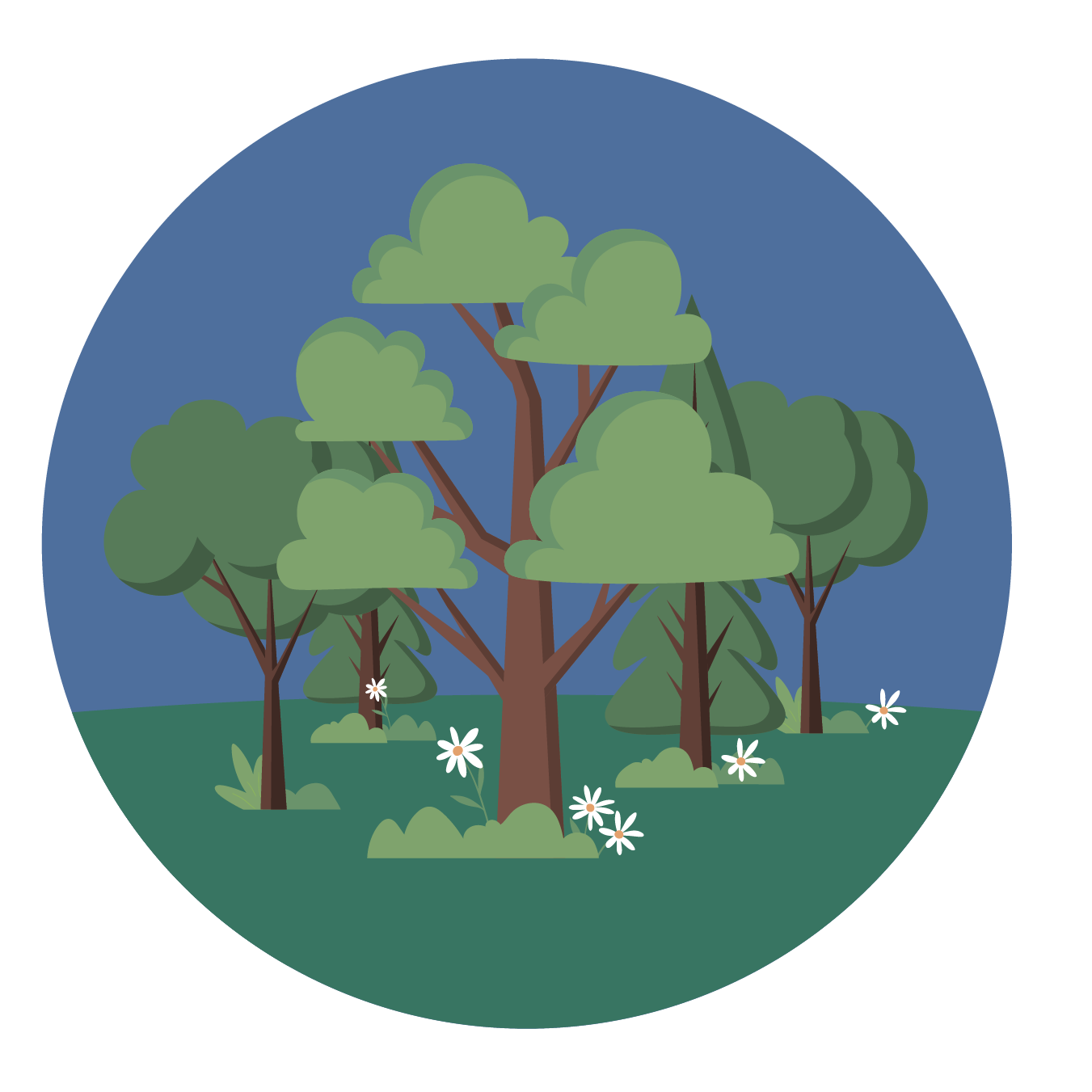 Environment Environment